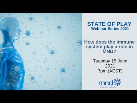 How does the immune system play a role in MND?