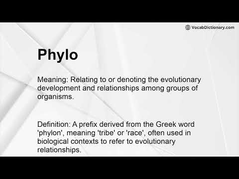 Phylo Meaning