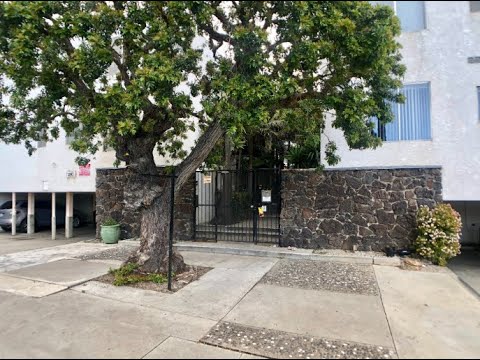 Santa Monica Apartments for Rent 2BR/1.5BA by Property Management in Santa Monica CA