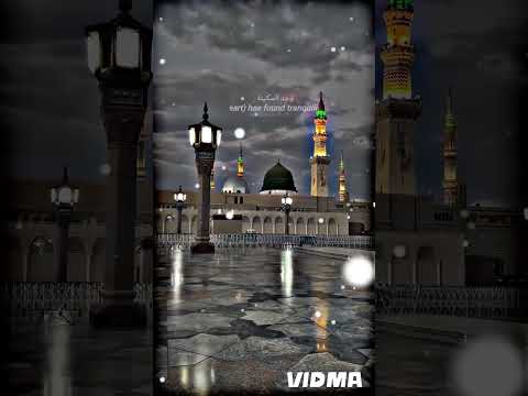 Qalbi Fil Madinah