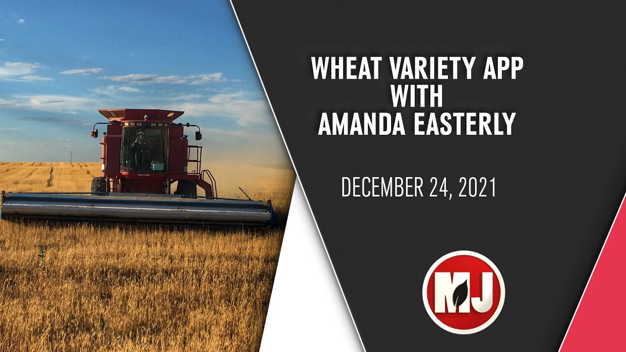 Wheat Variety App | December 24, 2021