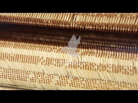 Match Box Making Machine at Best Price in India