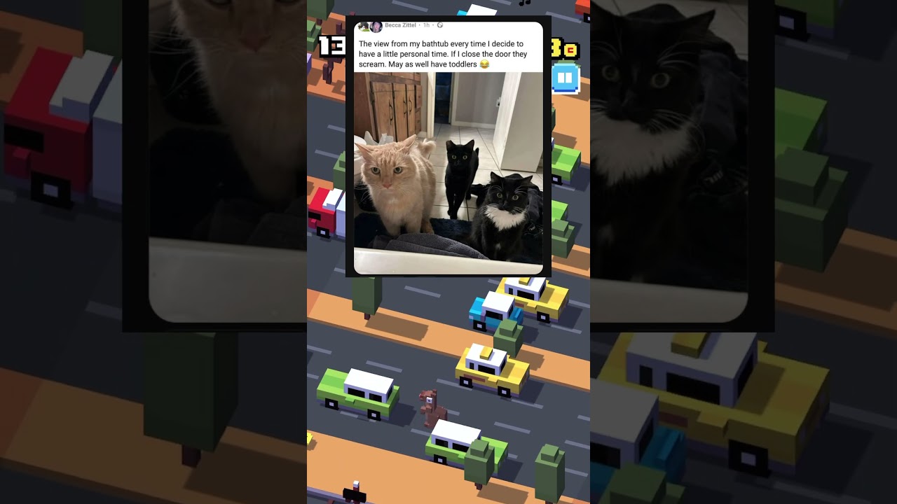 they're watching
