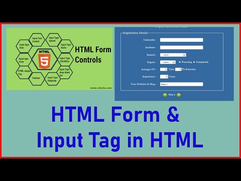 HTML Form and Input Tags in HTML