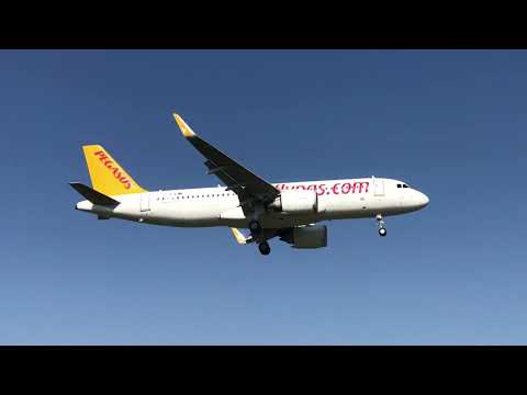 Pegasus Airlines Airbus A320 TC-NCN landing Bologna airport #aviation #aviationlovers #a320