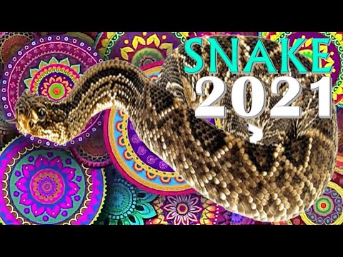 Snake Horoscope 2021 | Born 1917, 1929, 1941, 1953, 1965, 1977, 1989, 2001, 2013