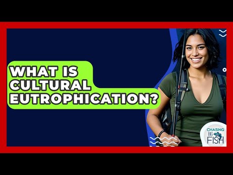 What Is Cultural Eutrophication? - Chasing Big Fish