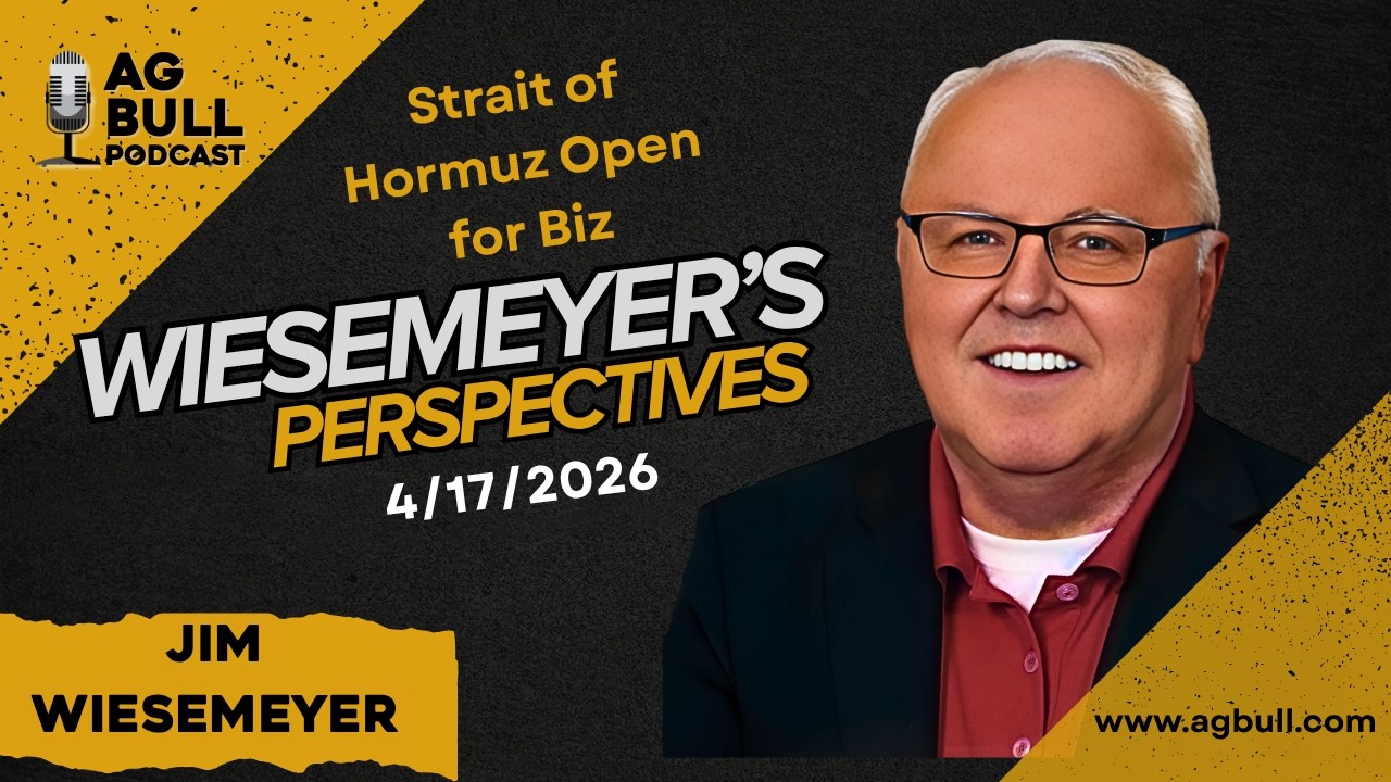 Wiesemeyers Perspectives | Strait of Hormuz Open for Biz