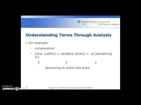 Medical Terminology - Chapter 1, Part 2