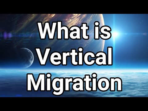 What is Vertical Migration. Urdu/ English