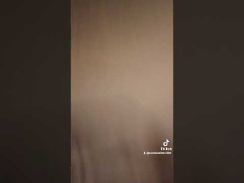 TikTok Emoji Filter Has Me Experiencing....