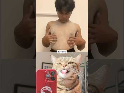 Donโt try this at home #cat #meme #funny