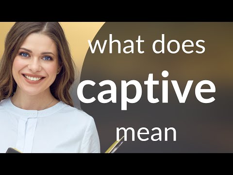 Captive • definition of CAPTIVE