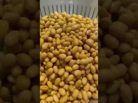 How to make HOMEMADE NATTO!! (Part 1)