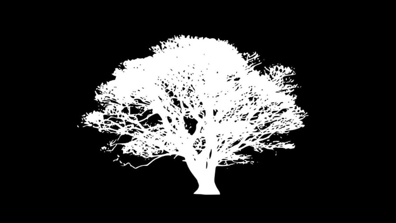 CSS tree animation