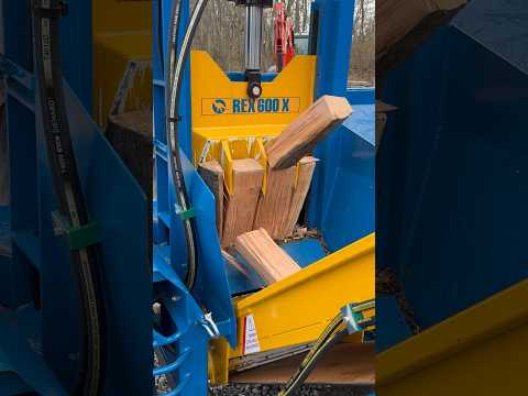 REX 600X Firewood Beast