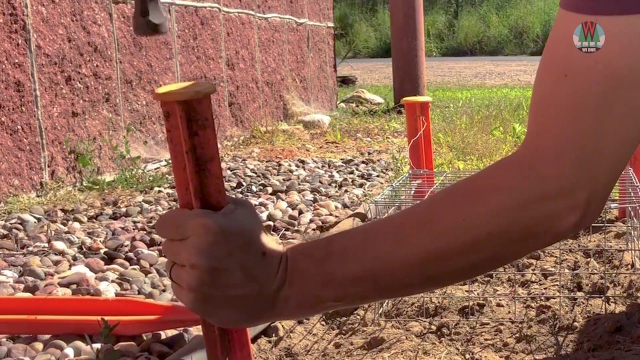 Making a Turtle Nest Cage