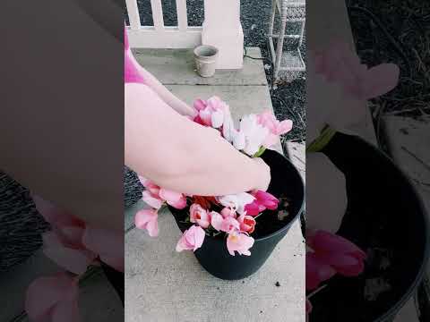 Why have I just thought of doing this now?!?!? Fake flowers for outside? Yes please!