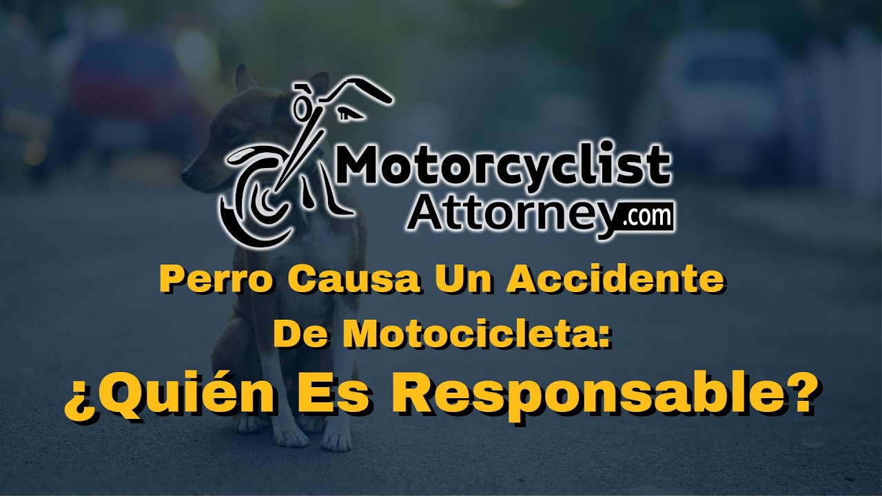 Perro Causa Un Accidente De Motocicleta: ¿Quién Es Responsable?