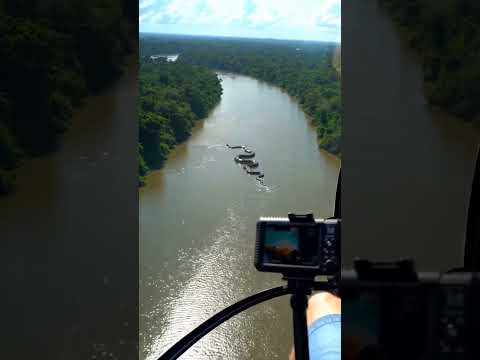 Is This Real?! Giant Anaconda Spotted in Amazon River!