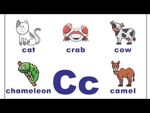 words That start with C / Words That start with C / Easy Learning Vedio For Kids ABCD