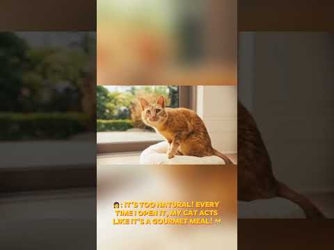 Applaws Natural Wet Cat Food β Ocean Fish in Gravy! ππ₯£