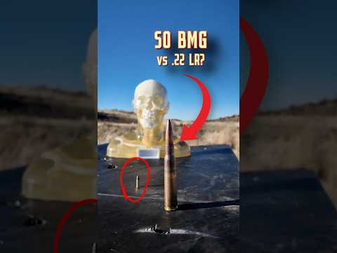 50 BMG Vs .22 LR (Dummy Head Explosion Test)