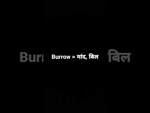 burrow meaning in hindi and its parts of speech and its pronunciation