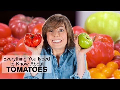 Everything You Need to Know About Tomatoes | You Can Cook That | Allrecipes.com