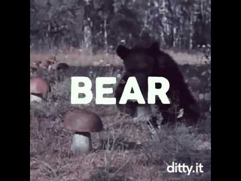 Bear song (Only with the word bear)