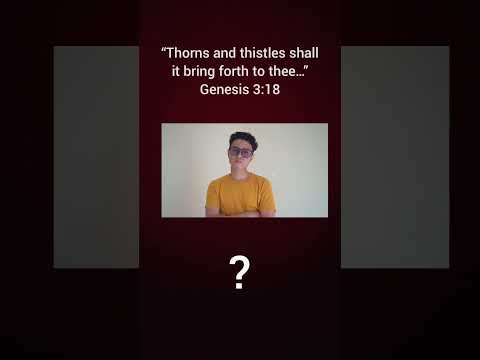 Ŋudzá: Mystery of the Thorns and Thistles (Eʋe/Ancient Hebrew)