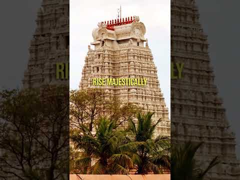 Tallest Temple In the World #shorts #india #hindutemple