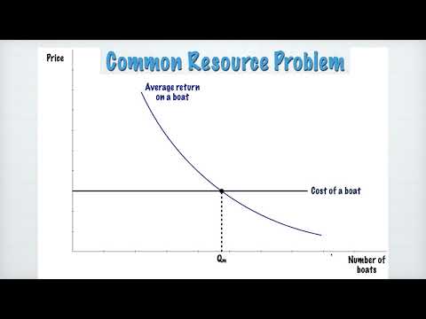Common Resource Problem Leads to Excessive Production