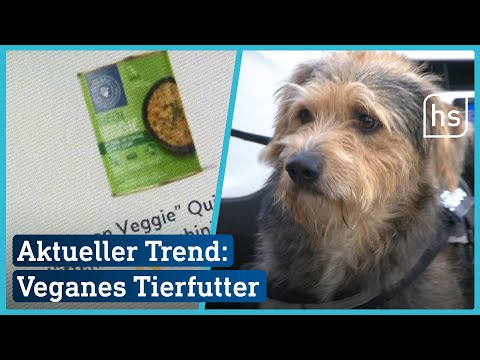 Veganes Tierfutter: Was kann das? | hessenschau