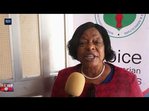 NACCIMA to develop industrial clusters to boost MSMEs