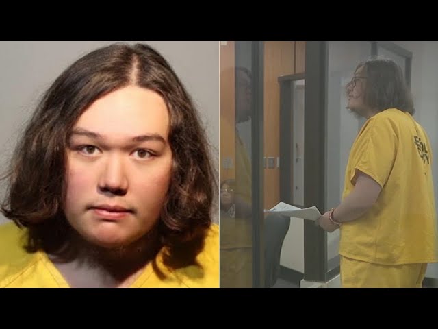 What did Alan Filion do? Charges against 17-year-old alleged 'serial ...