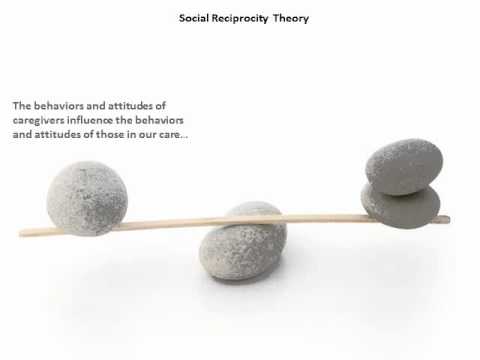 Social Reciprocity Theory.wmv