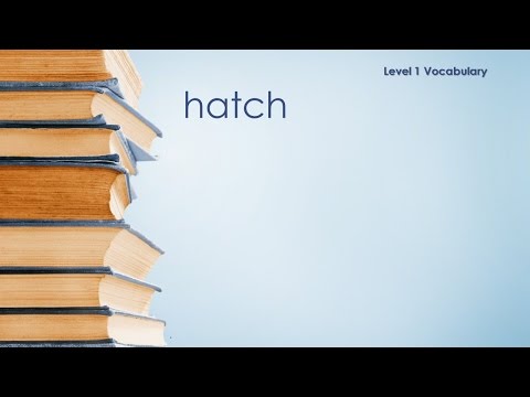 Level 1 Vocabulary - Hatch - Definition \ Meaning