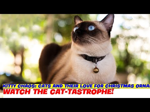 Kitty Chaos: Cats and Their Love for Christmas Ornaments
