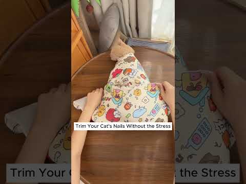 Trim Your Cat’s Nails Like a Pro – The Easy & Safe Way!