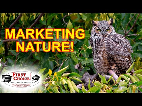 How to market your nature and wildlife photography. Don't fall into the same trap as others.