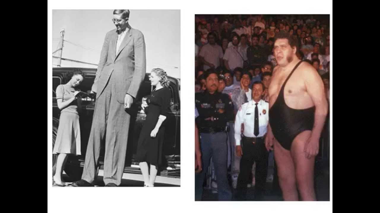 Endocrine Disorders talking Power Point