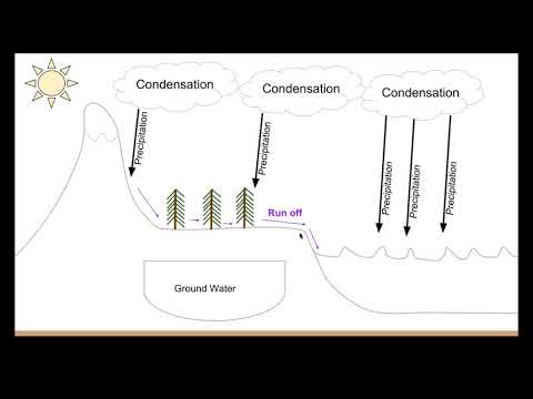 Biology 20 Water Cycle