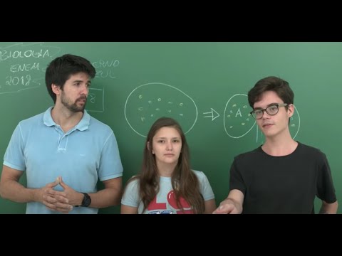 GABARITO ENEM | COMENTÁRIOS SOBRE BIOLOGIA E LINGUAGENS
