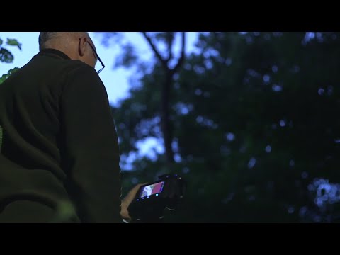Using FLIR Thermal Imaging for Bat Research & Conservation