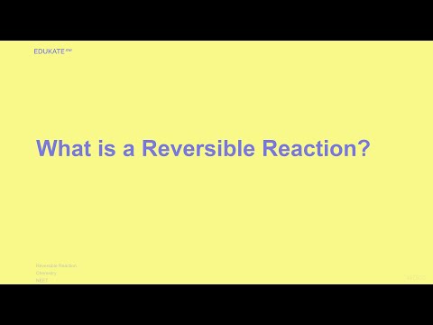 What is a Reversible Reaction?