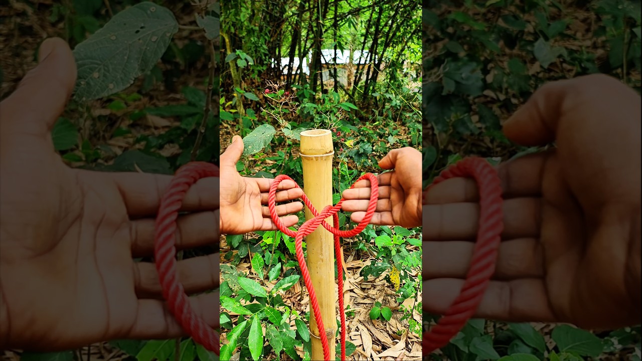 Wow,, Very Useful Knot!