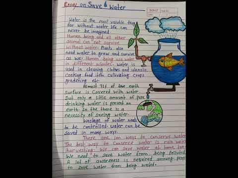 essay on save water