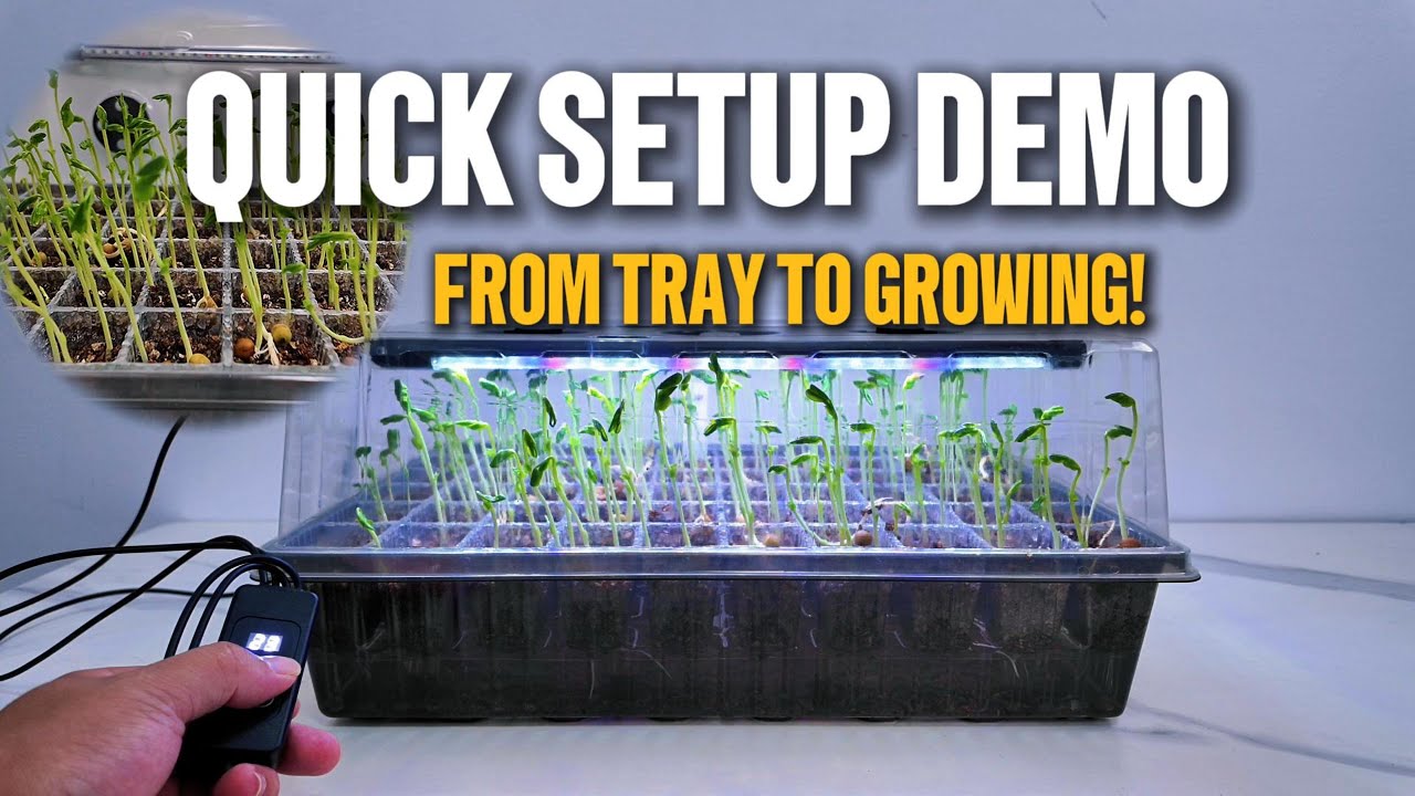 Start Your Garden with This Easy Seed Starter Kit 🌱 | YIERYI Beginner-Friendly Tray