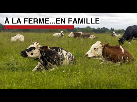ILLE & VOUS : ils gèrent une exploitation agricole en famille !